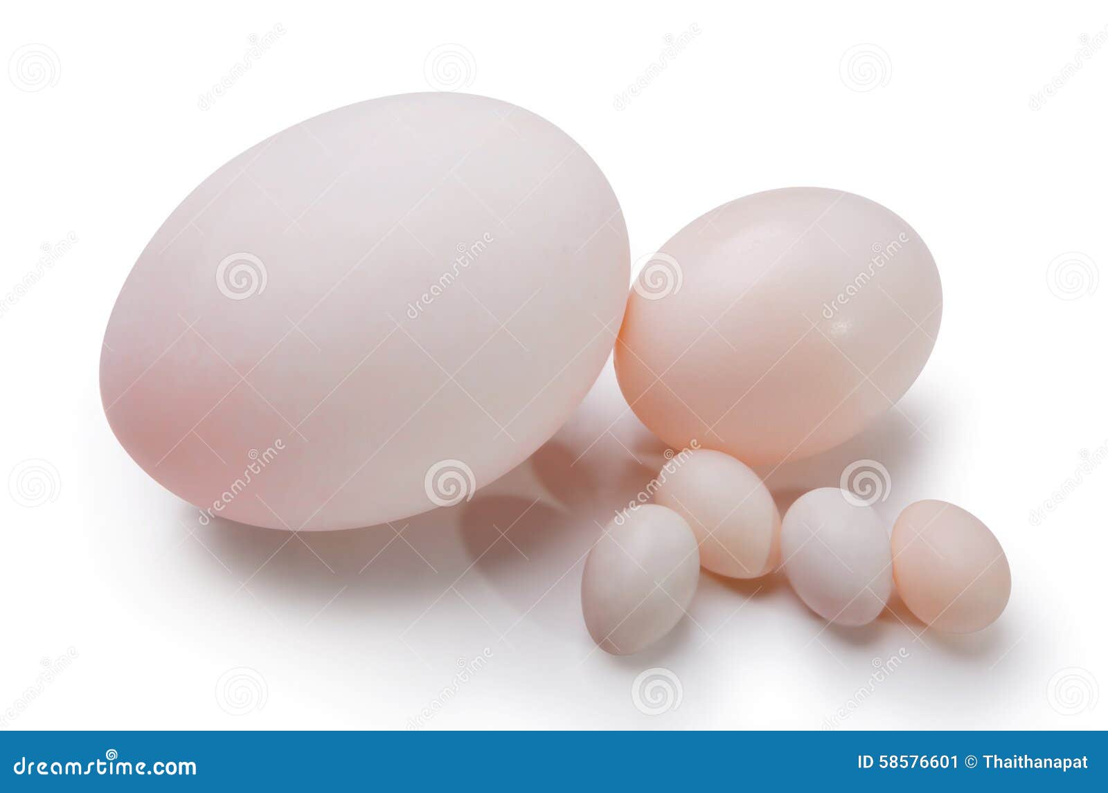 Different Eggs stock image. Image of foodstuff, healthy - 58576601