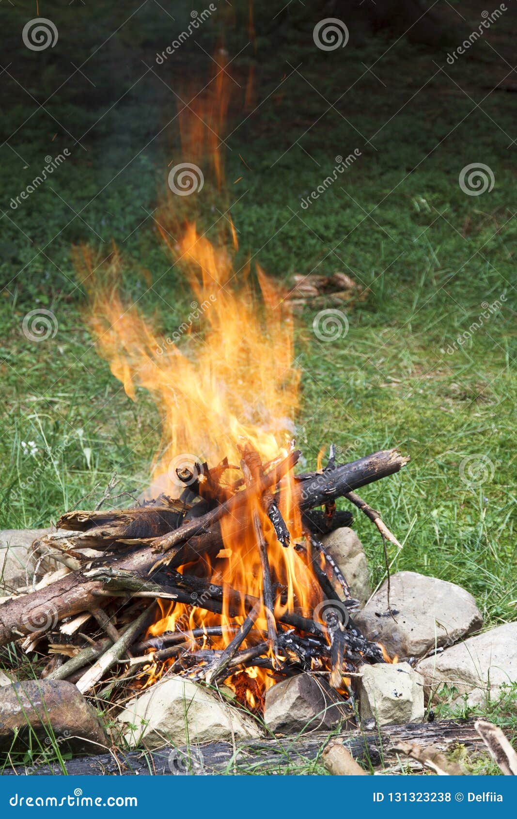 Bonfire in the Forest. Be Careful! Stock Photo - Image of processing ...