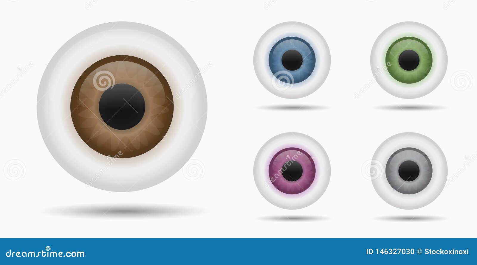 Different Eyeballs Eye Iris Vector Illustrations Stock Vector ...