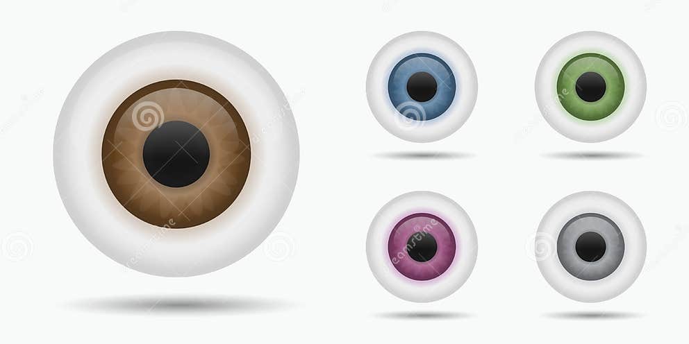 Different Eyeballs Eye Iris Vector Illustrations Stock Vector ...