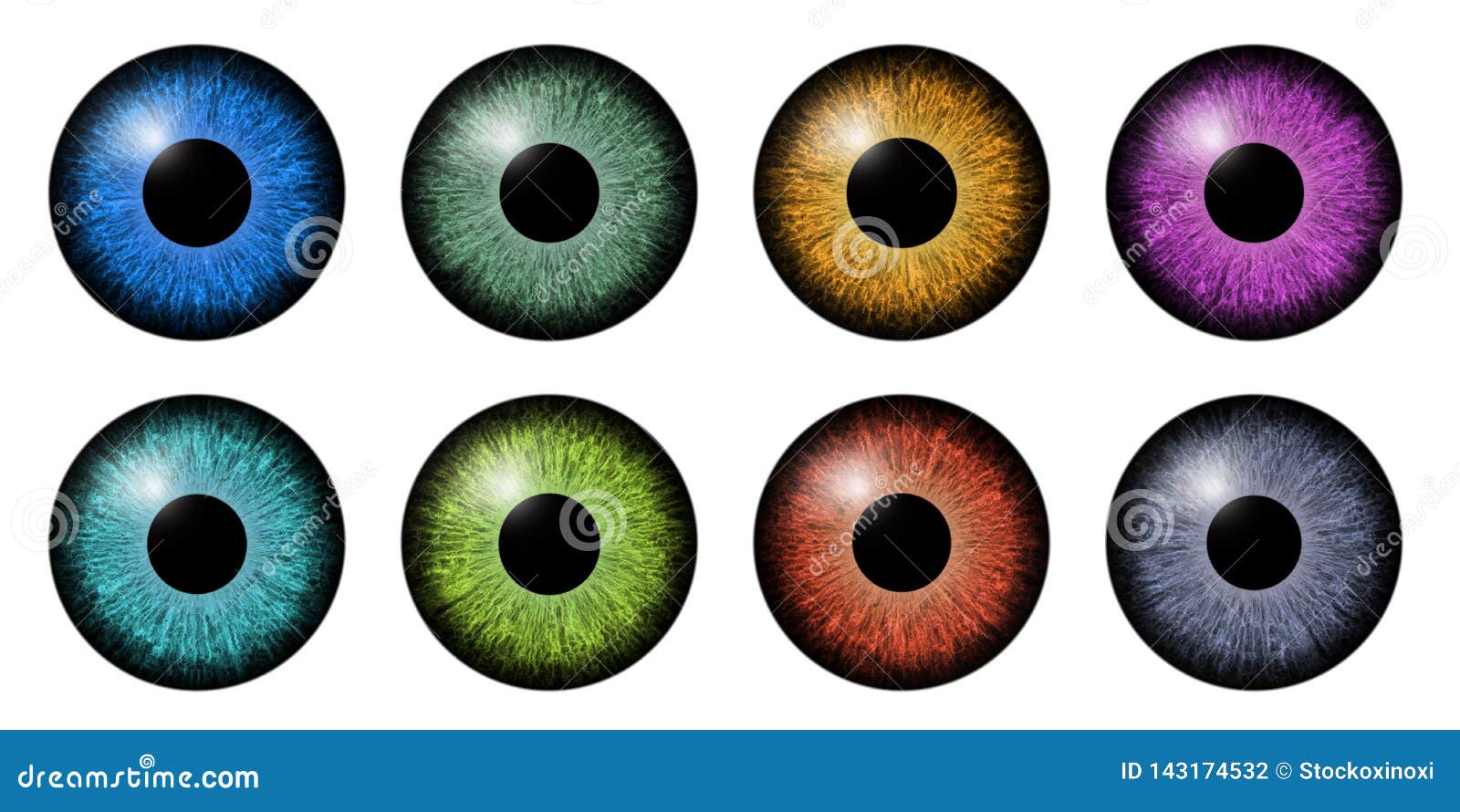 Macro Illustration Of A Multicolored Hummingbird On A Dark Background ...