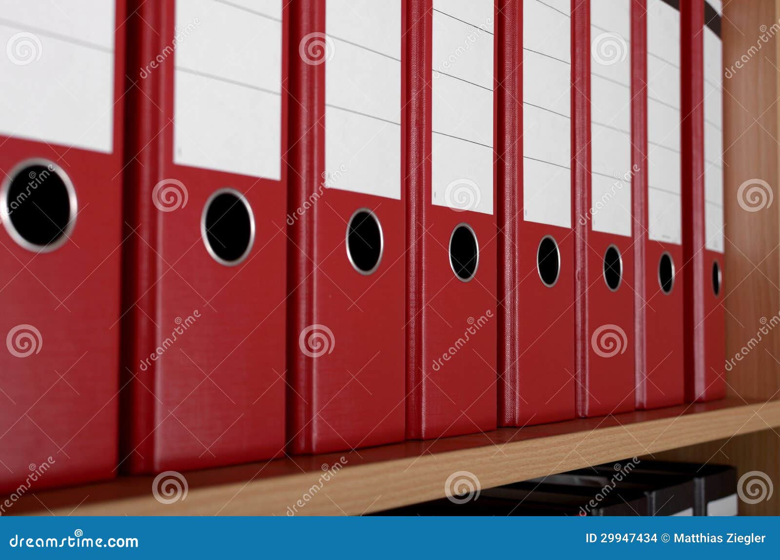 Files in office cupboard stock photo. Image of folder - 29947434