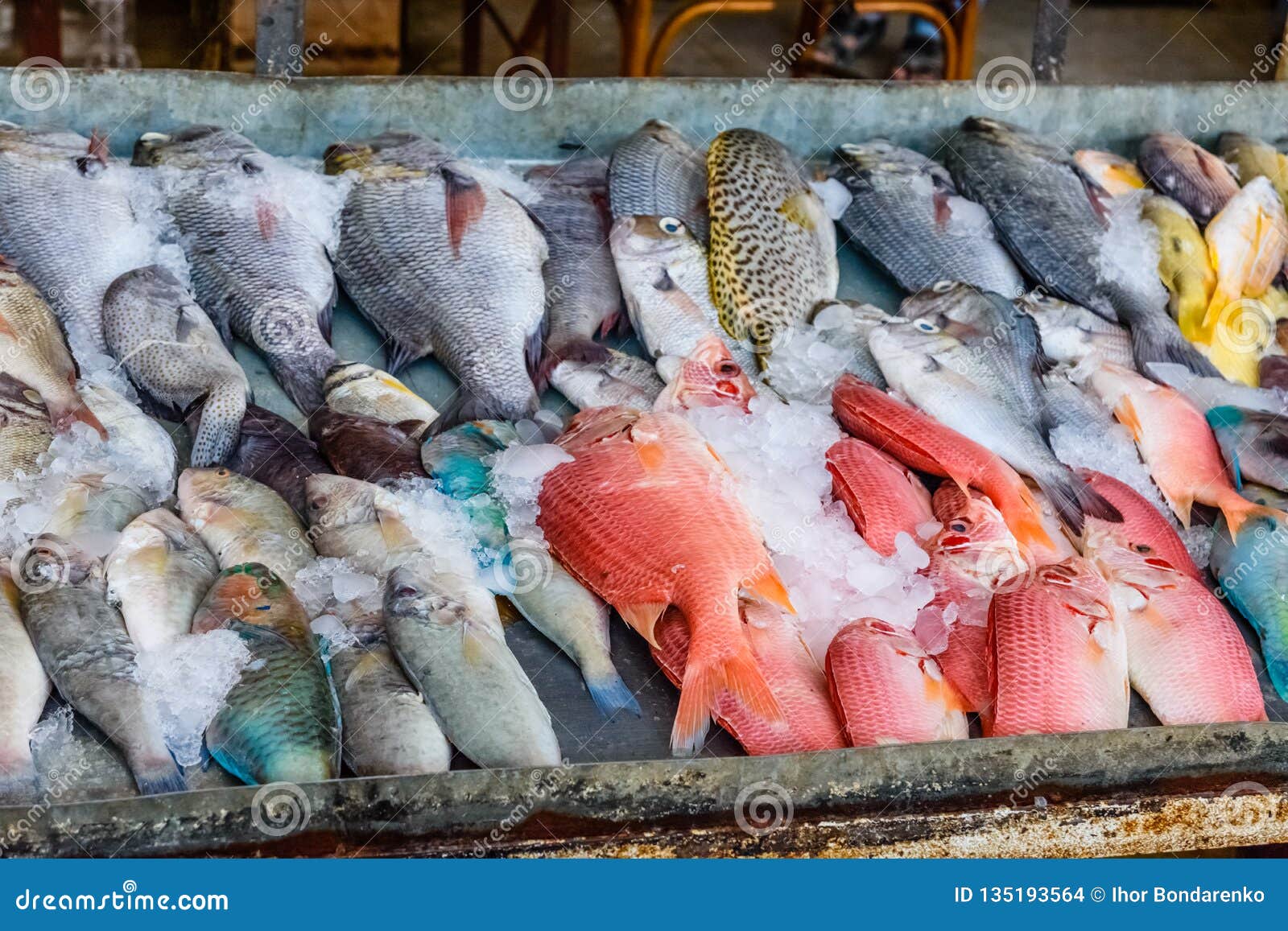 Different Fish on Fish Market in a Hurghada City, Egypt Stock Photo ...