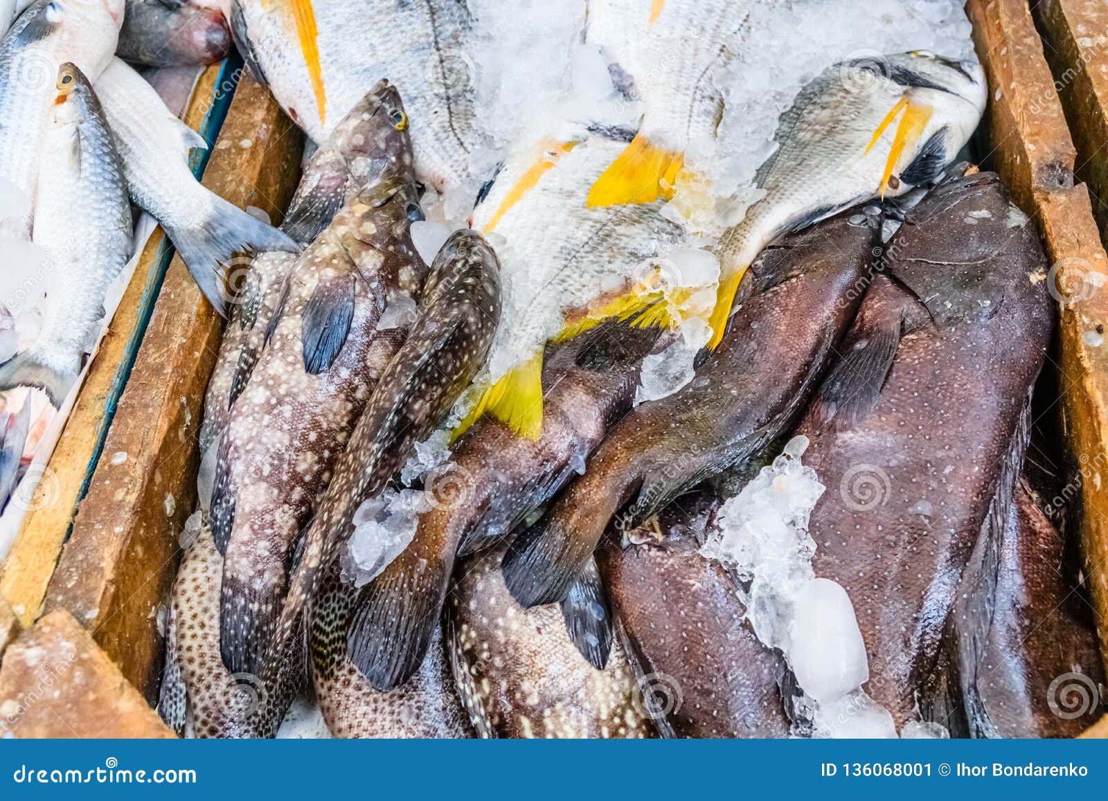Different Fish on Fish Market in a Hurghada City, Egypt Stock Image ...