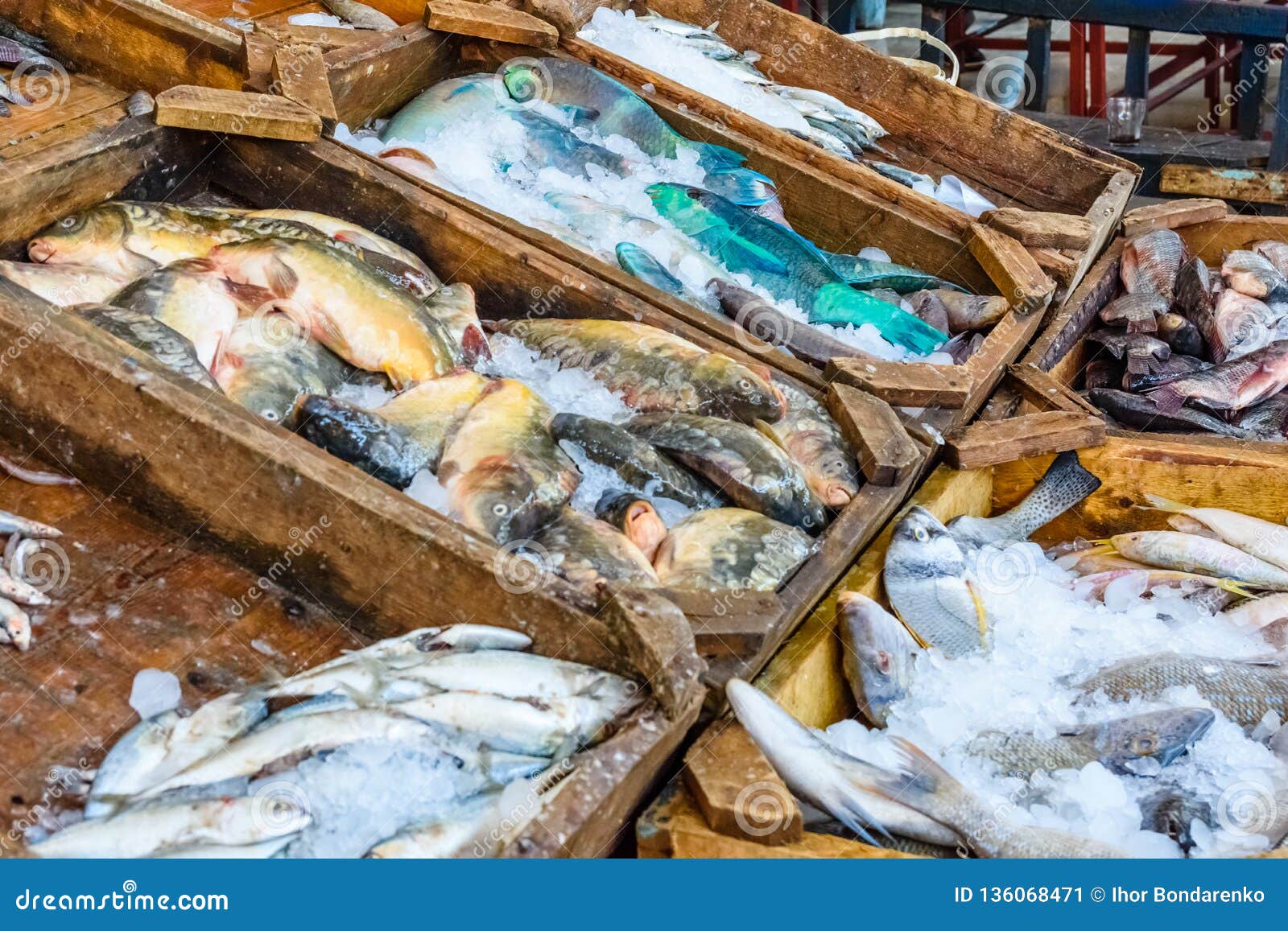 Different Fish on Fish Market in a Hurghada City, Egypt Stock Image ...