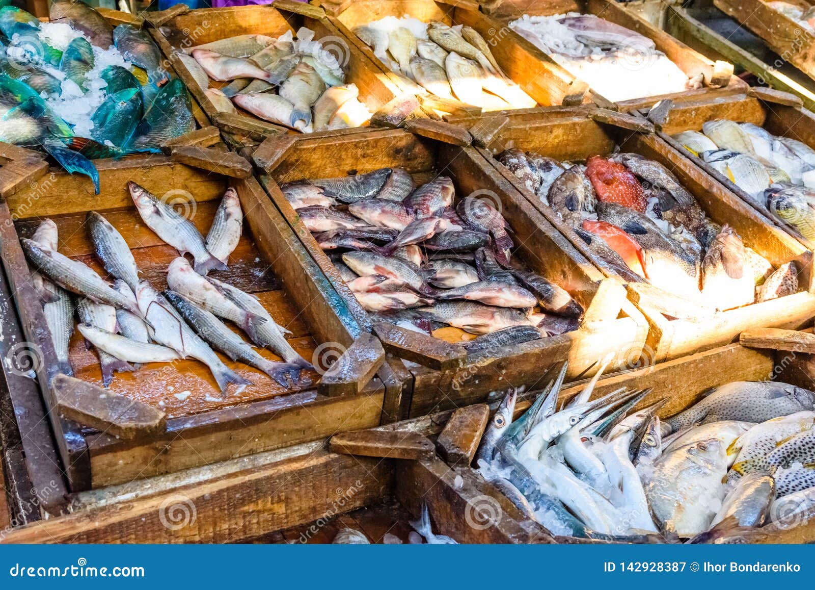 Different Fish on Fish Market in a Hurghada City, Egypt Stock Image ...