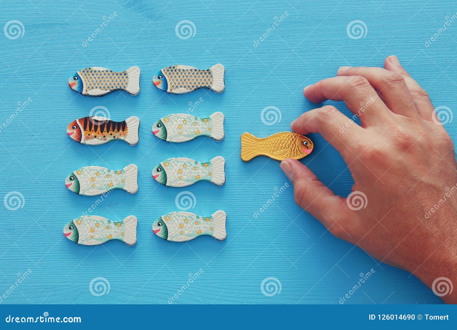 Different Fish Swimming Opposite Way of Identical Ones. Courage and ...