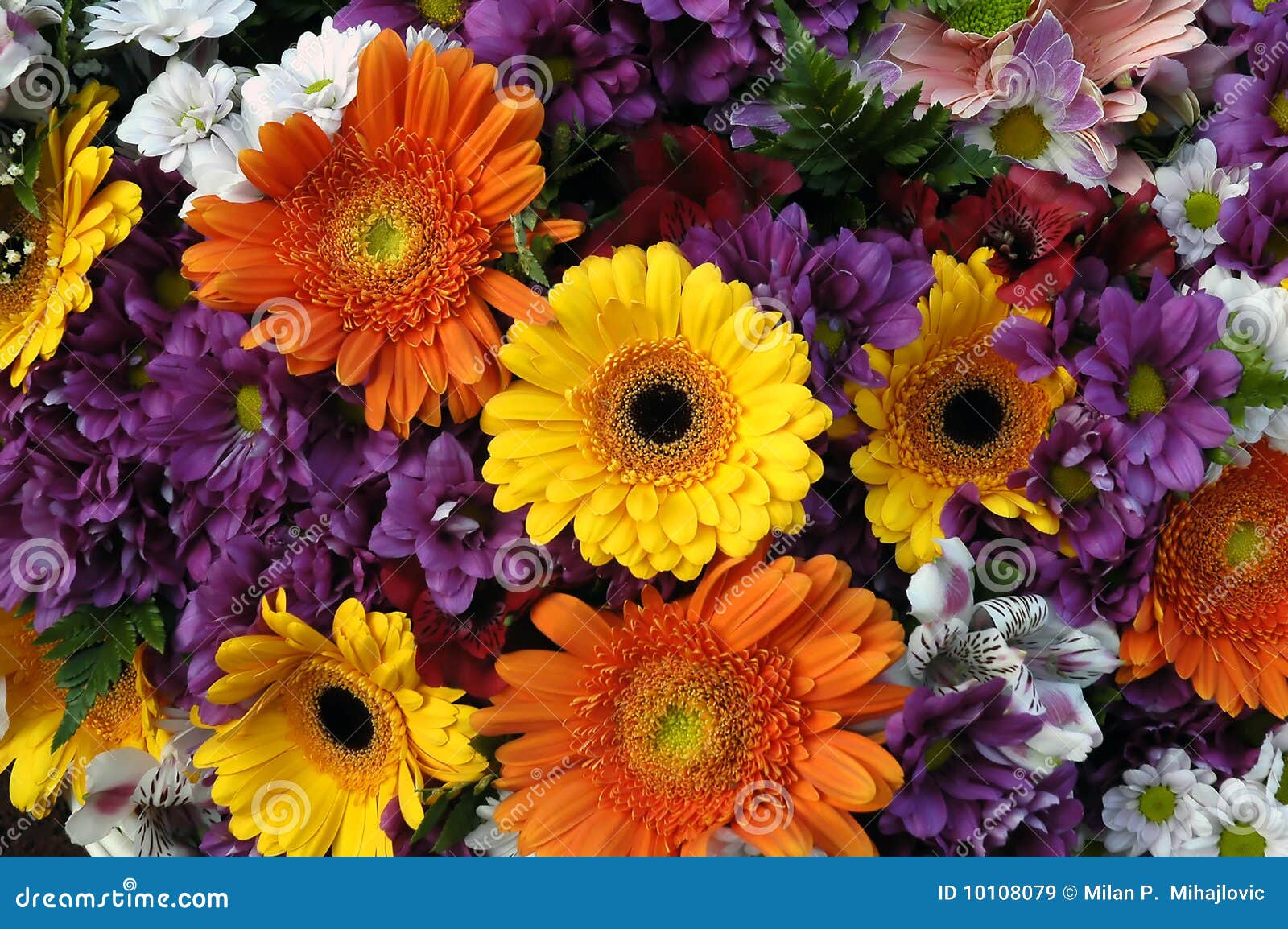 Different Flower Bouquet Royalty-Free Stock Photography | CartoonDealer ...