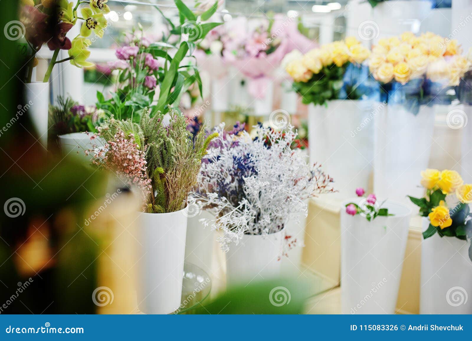 Different Flowers on Pots at Flower Store. Stock Photo - Image of ...