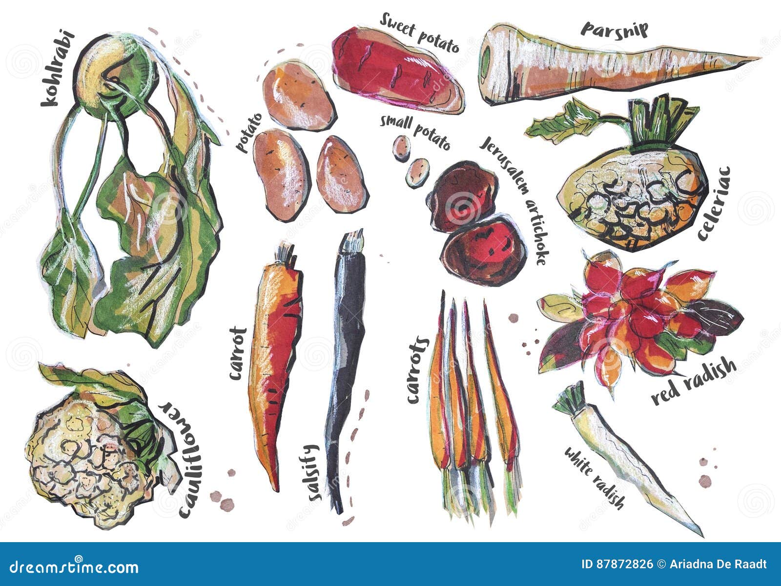 Different Food Components, Isolated on White Stock Illustration ...