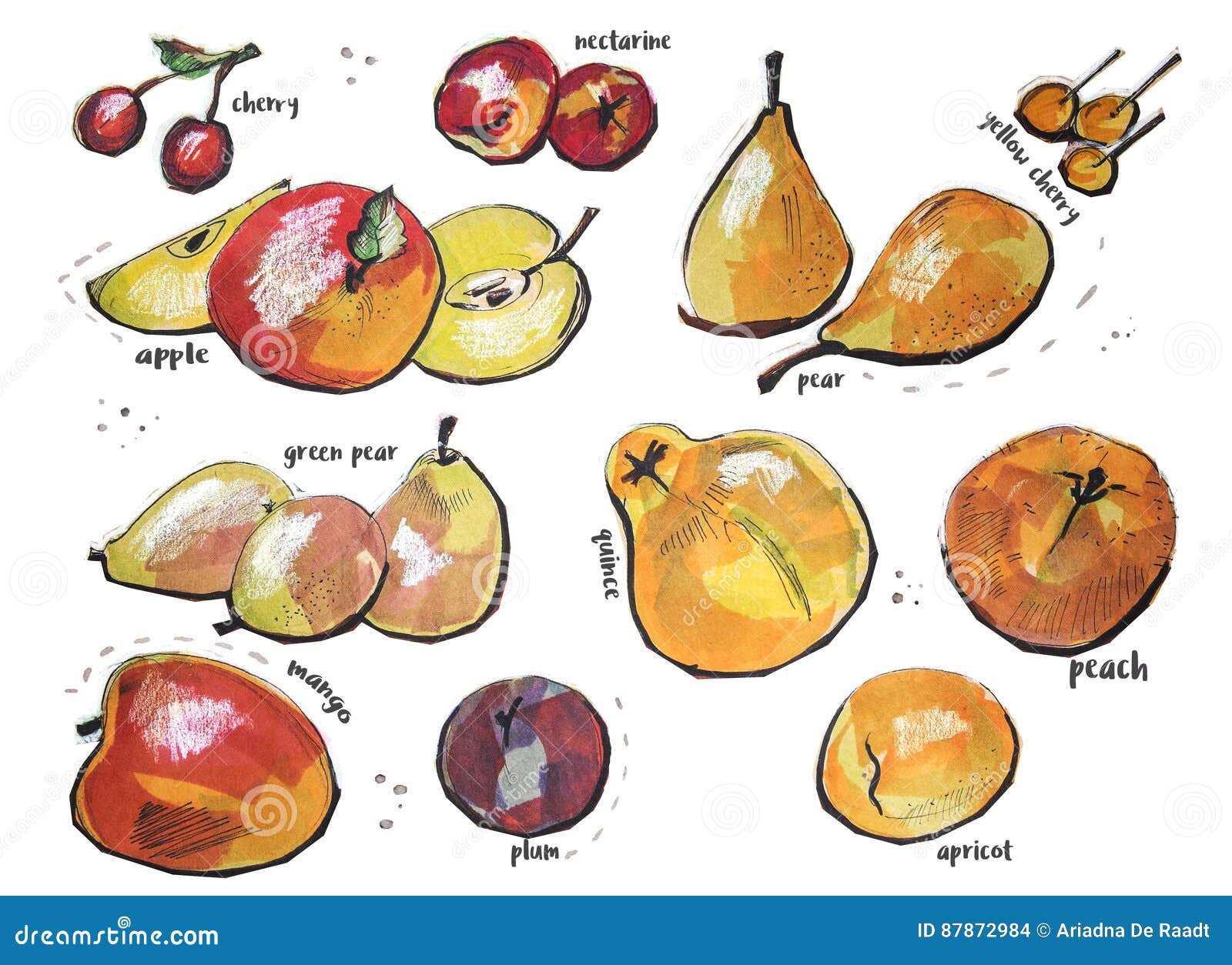 Different Food Components, Isolated on White Stock Illustration ...