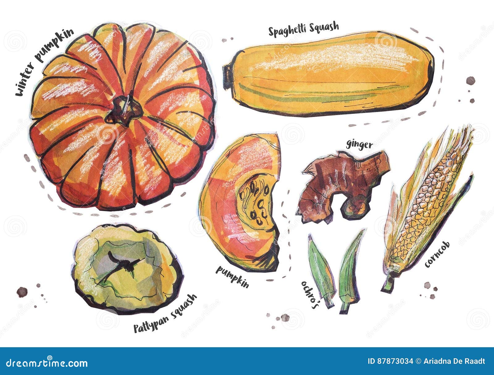 Different Food Components, Isolated on White Stock Illustration ...