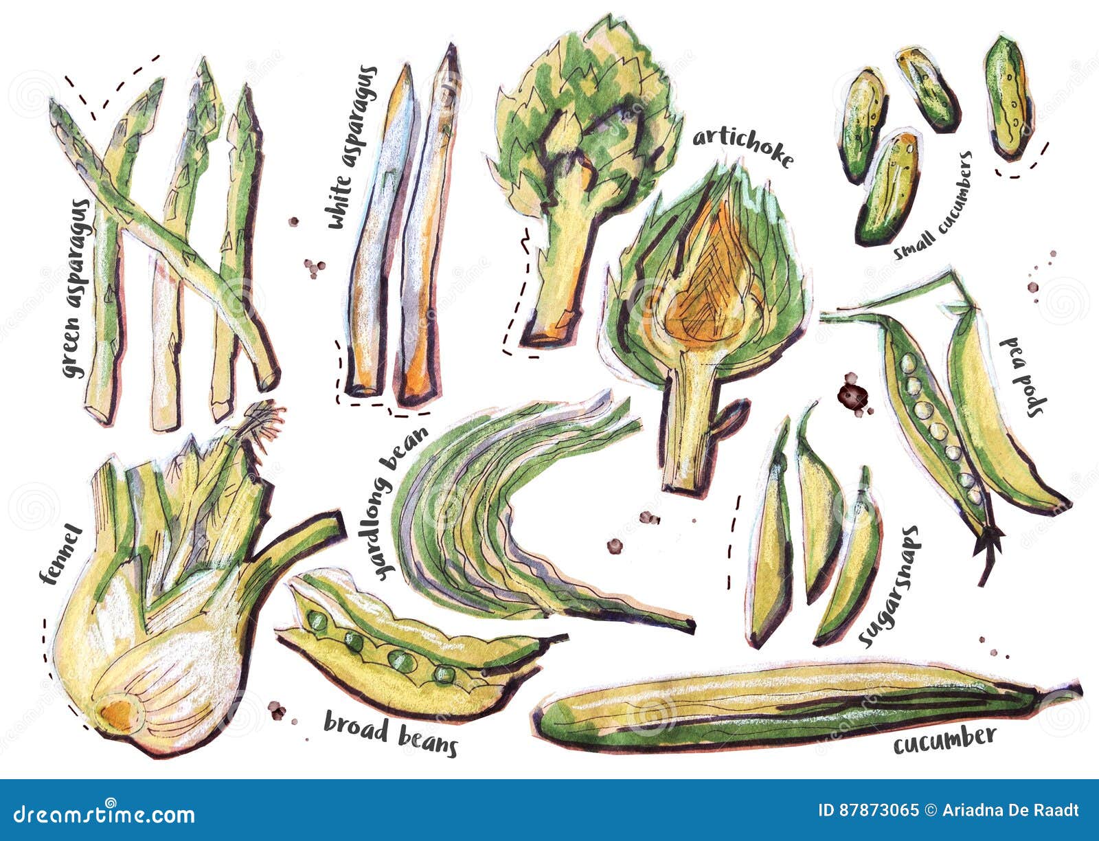 Different Food Components, Isolated on White Stock Illustration ...