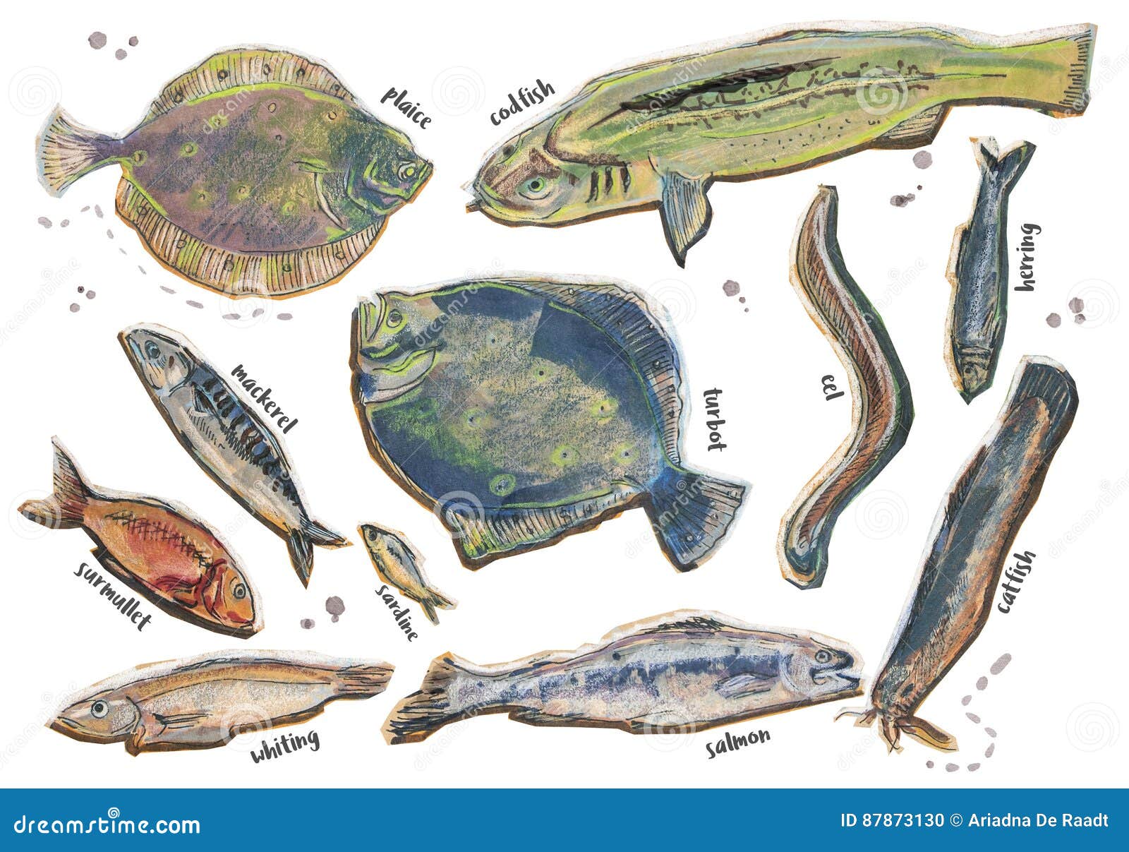 Different Food Components, Isolated on White Stock Illustration ...