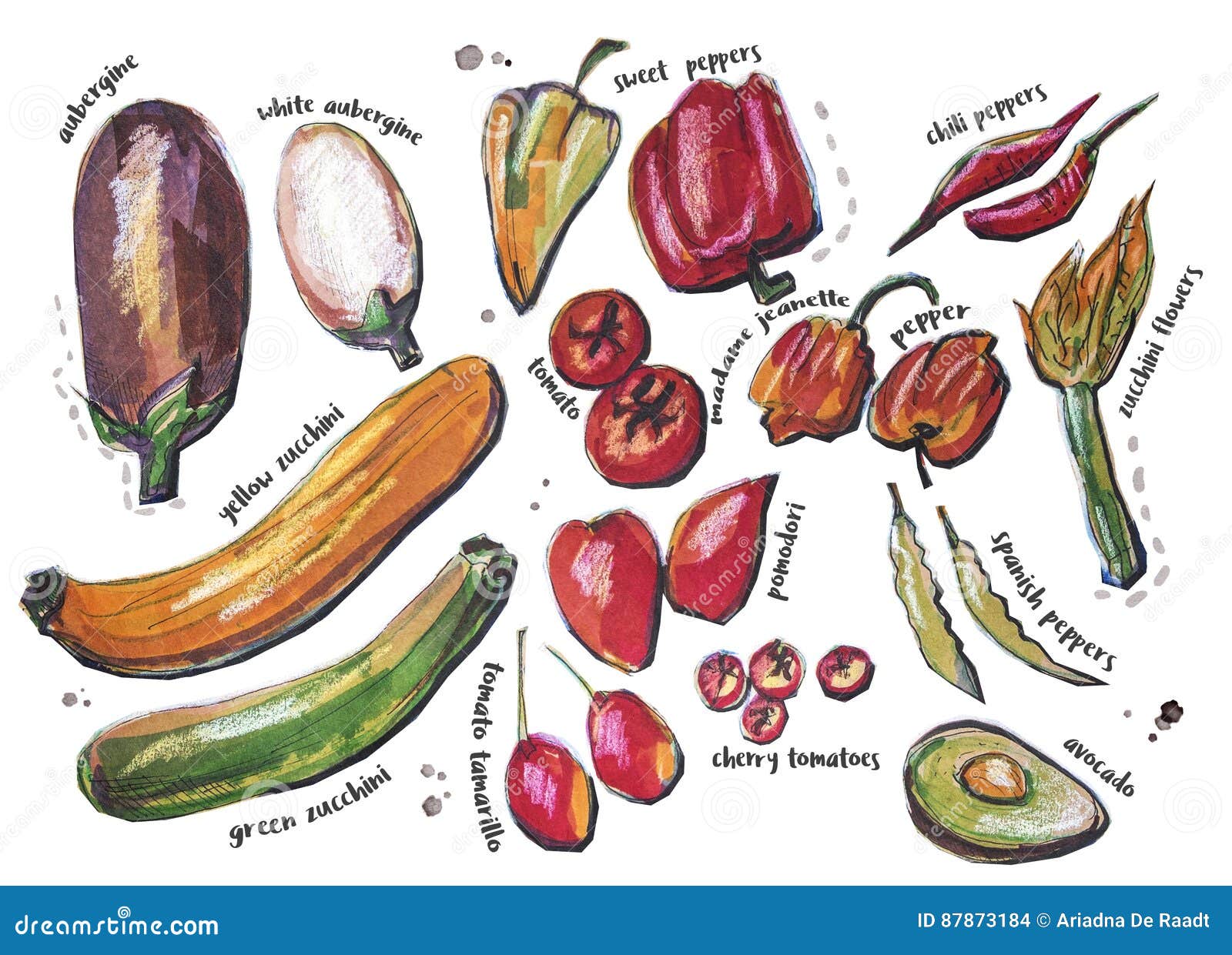 Different Food Components, Isolated on White Stock Illustration ...