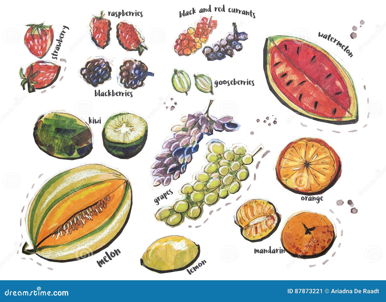 Different Food Components, Isolated on White Stock Illustration ...