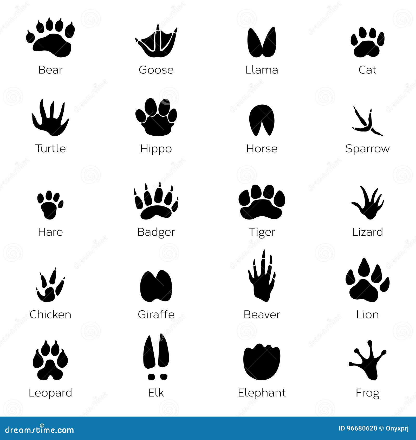 Lizard Footprint Clipart Images