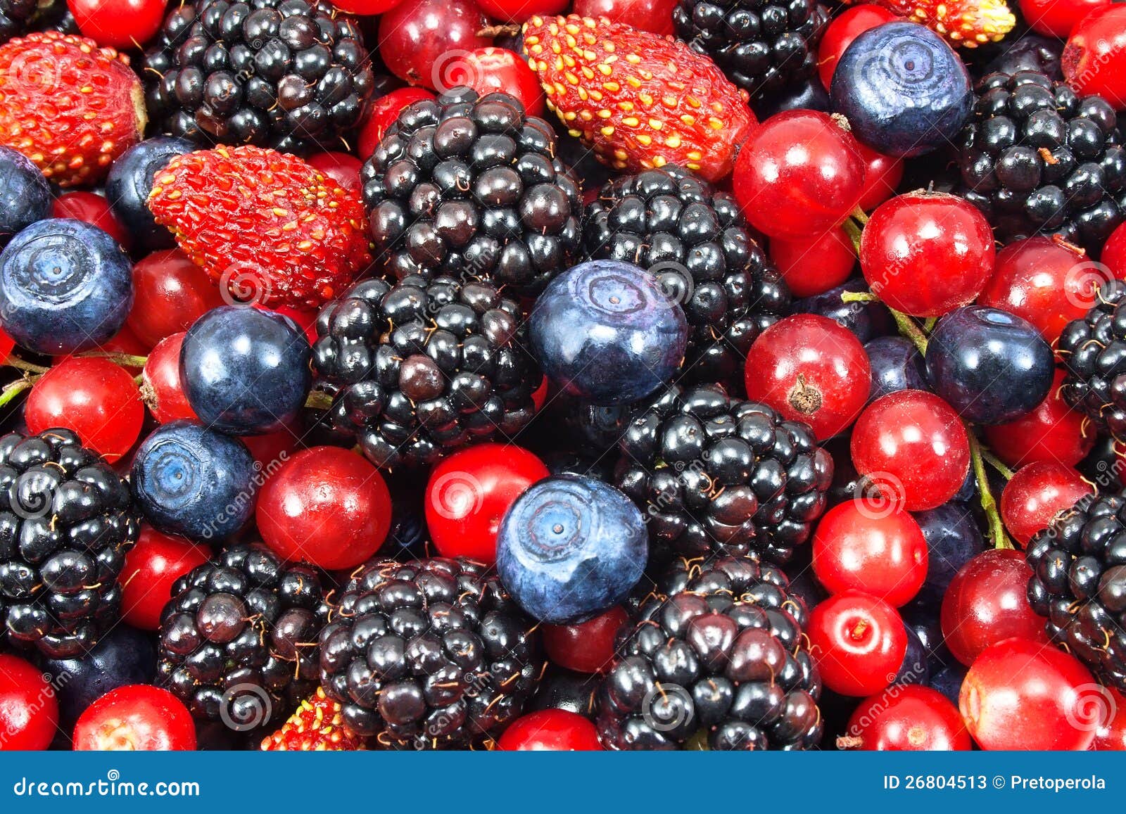 Different fresh berries stock image. Image of group, blackberries ...