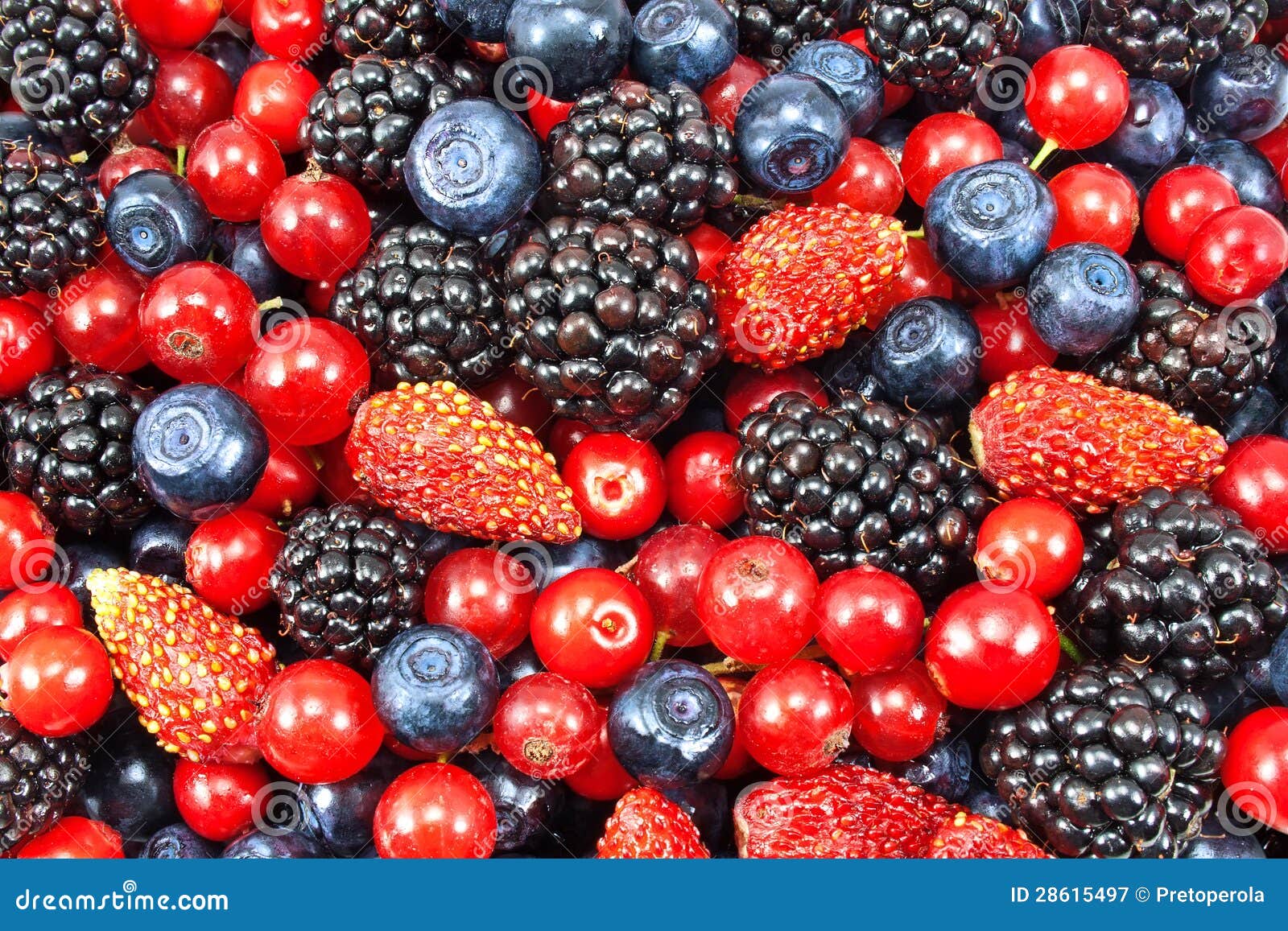 Different Fresh Berries Royalty Free Stock Photography - Image: 28615497