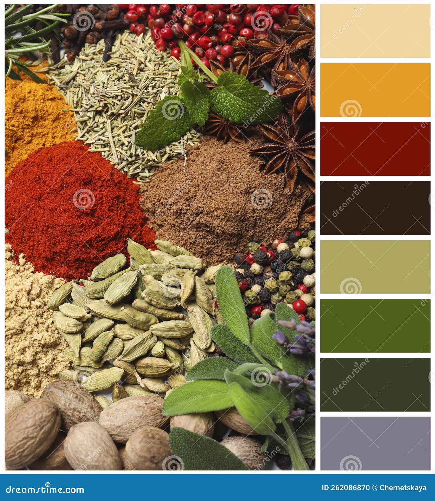 Different Fresh Herbs with Aromatic Spices and Color Palette. Collage ...