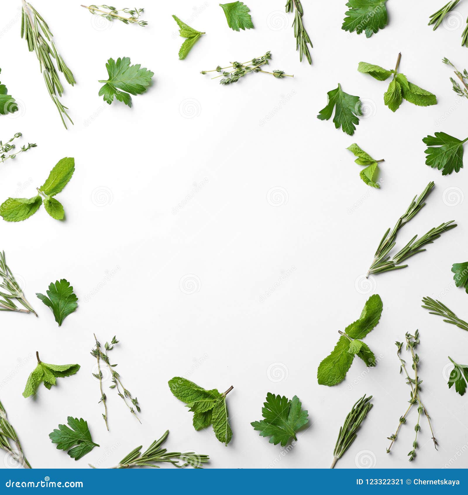 Different Fresh Herbs on White Background Stock Image - Image of ...