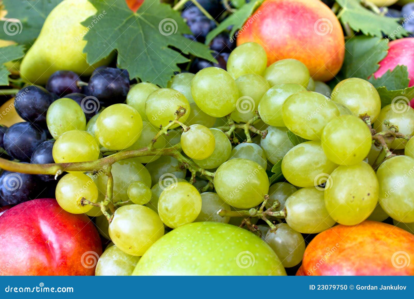 Different Fresh Organic Fruits Stock Photo - Image of peaches, apples ...