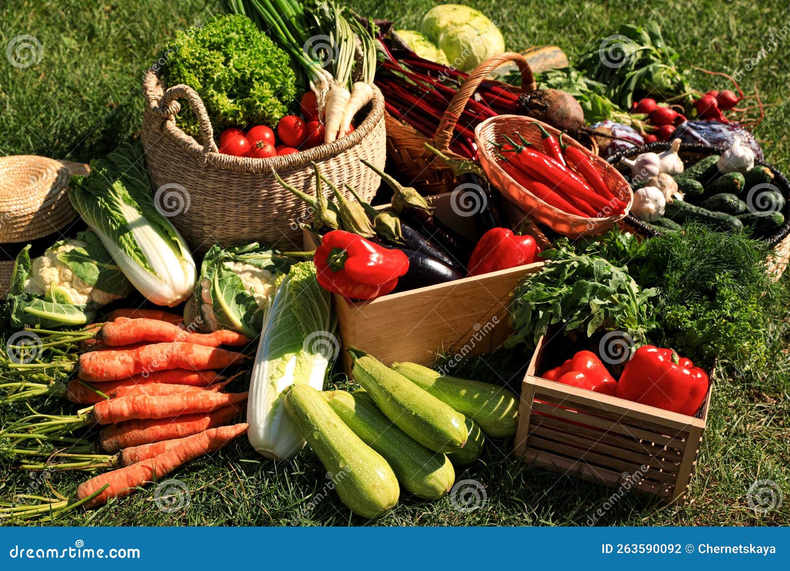 Different Fresh Ripe Vegetables on Green Grass Stock Photo - Image of ...