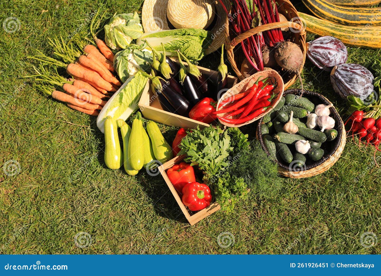 Different Fresh Ripe Vegetables on Green Grass, Flat Lay Stock Image ...
