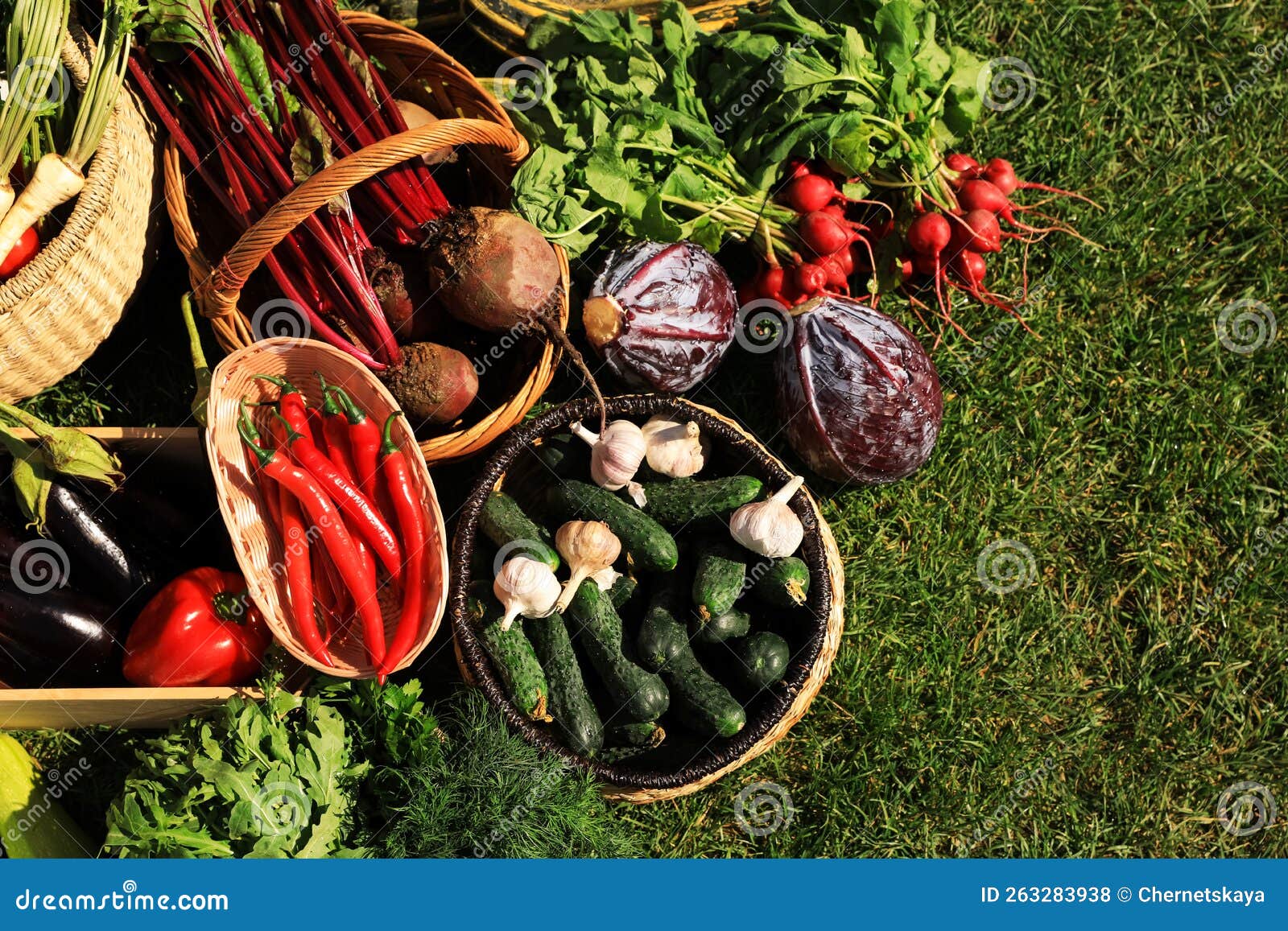 Different Fresh Ripe Vegetables on Green Grass, Flat Lay Stock Photo ...