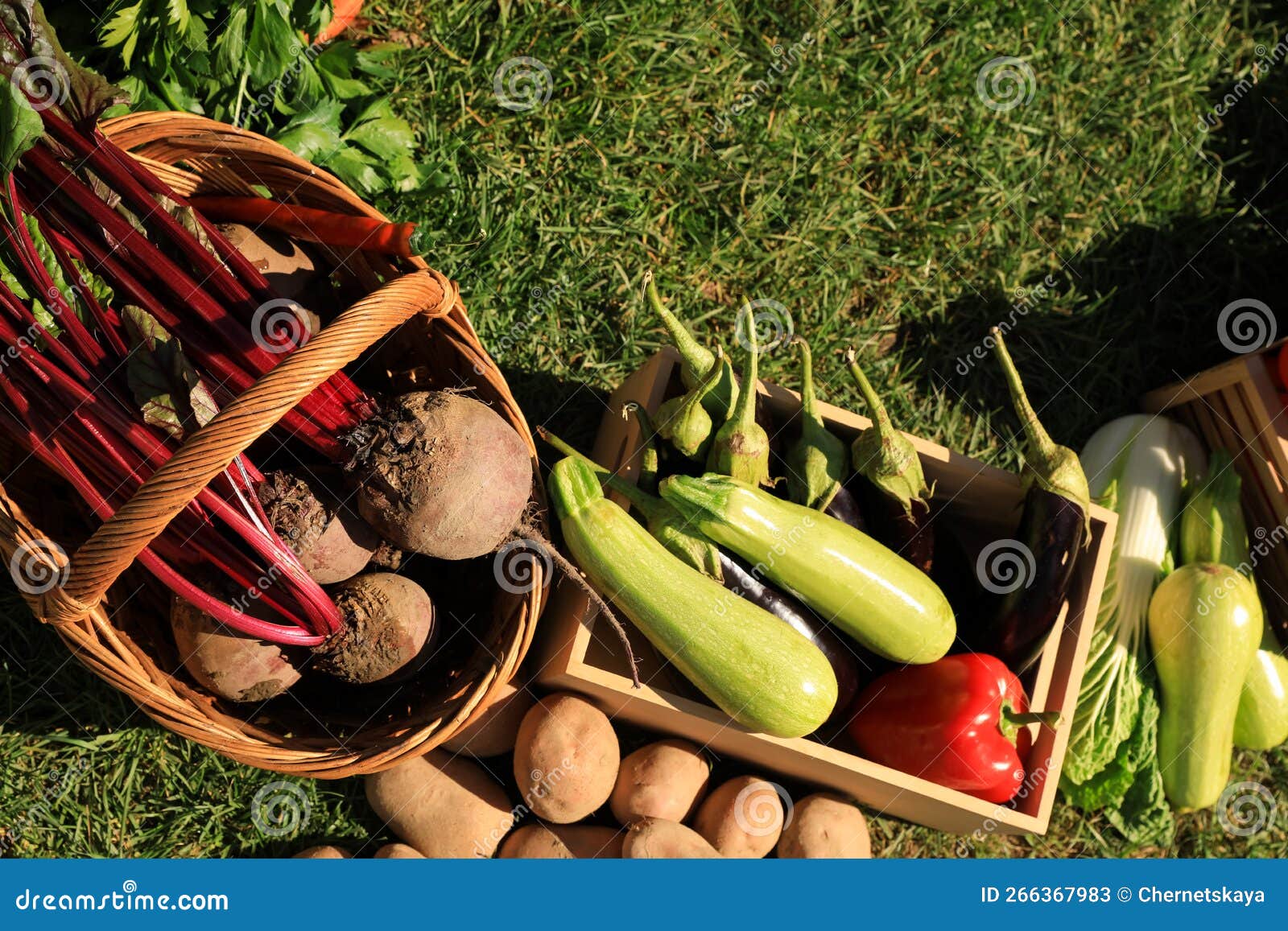 Different Fresh Ripe Vegetables on Green Grass, Flat Lay Stock Image ...