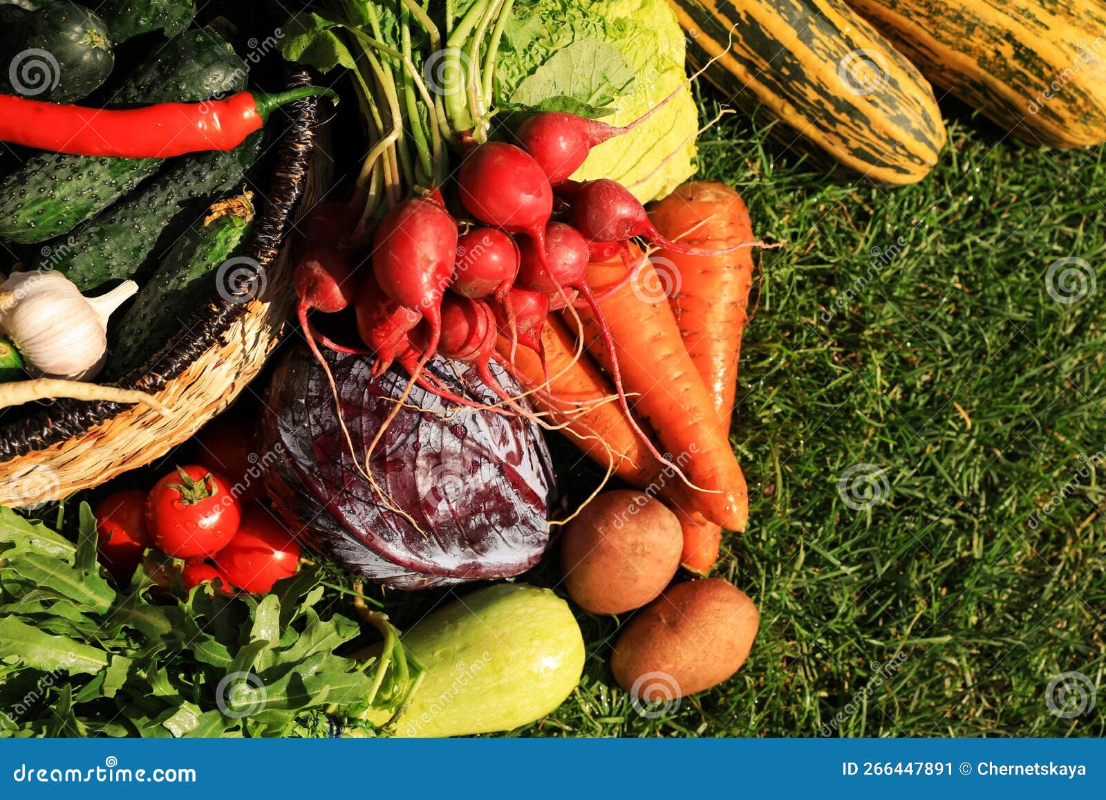 Different Fresh Ripe Vegetables on Green Grass, Flat Lay Stock Image ...