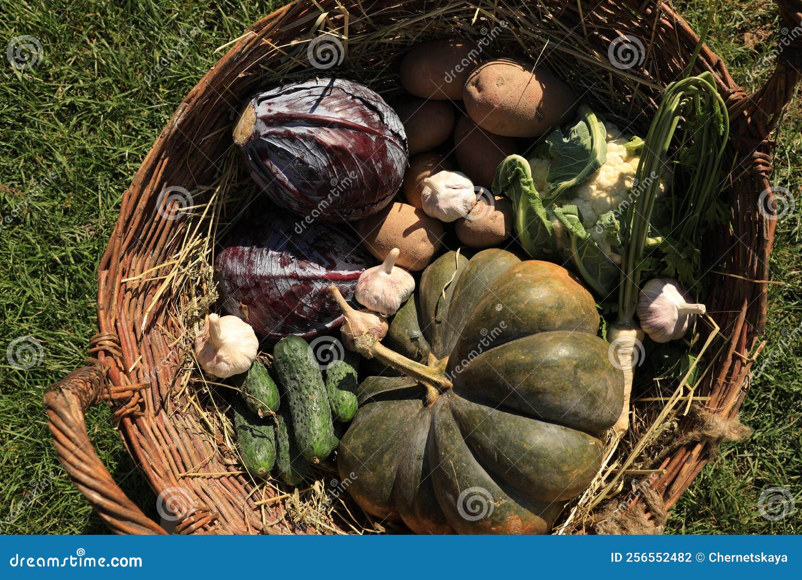 Different Fresh Ripe Vegetables in Wicker Basket on Green Grass, Top ...