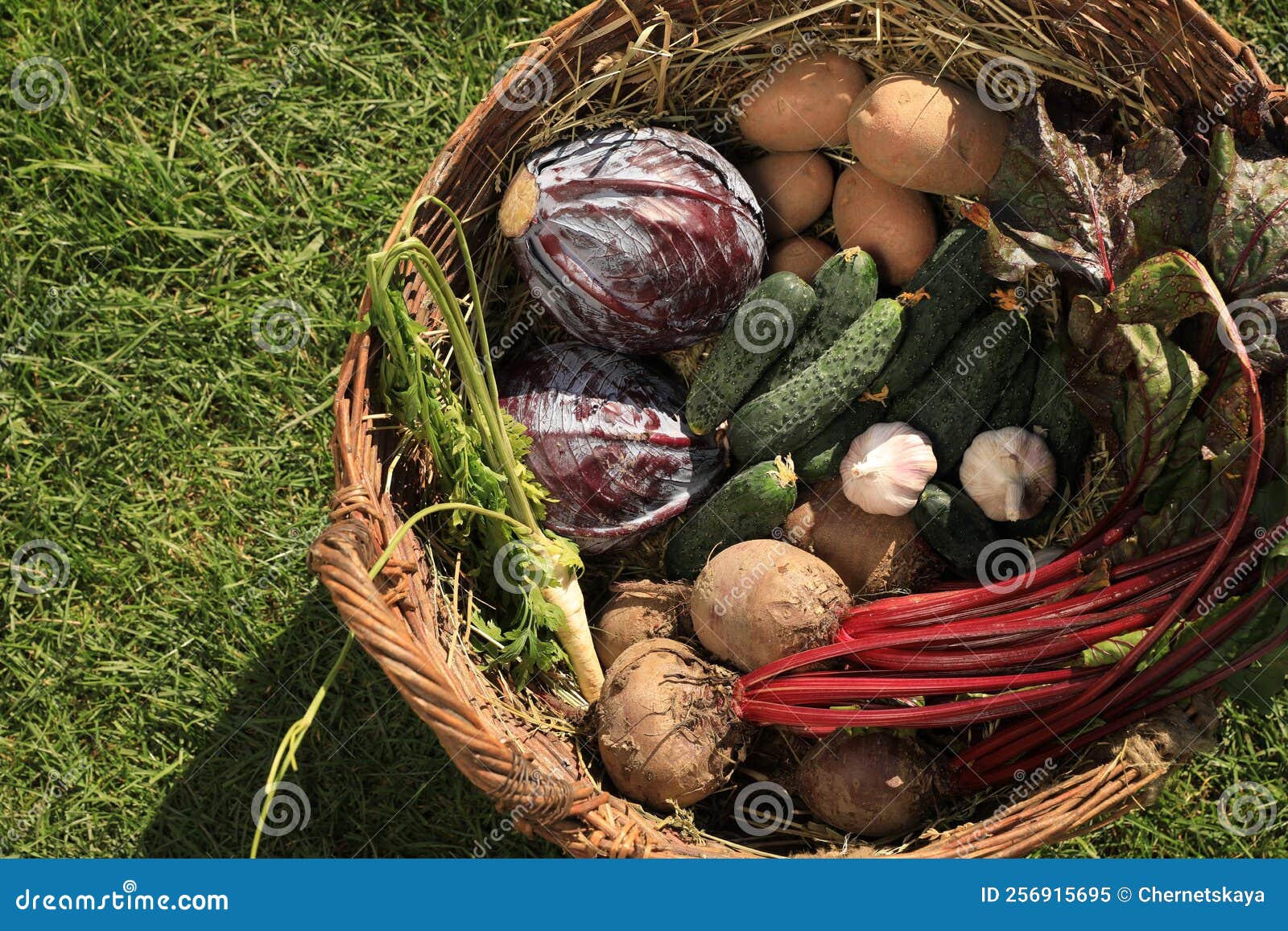 Different Fresh Ripe Vegetables in Wicker Basket on Green Grass, Top ...