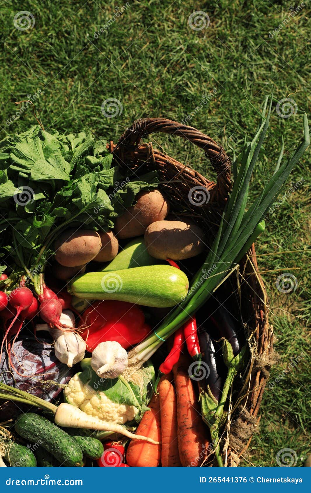 Different Fresh Ripe Vegetables in Wicker Basket on Green Grass, Top ...