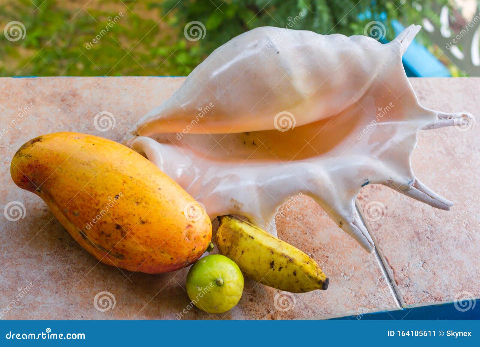 Different Fruits and Big Shell on Table Stock Image - Image of detox ...