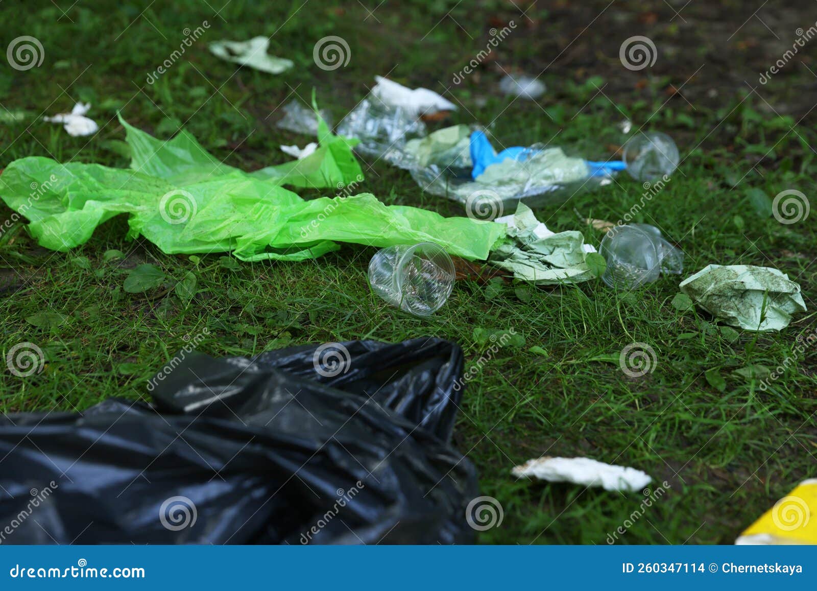 Different Garbage Scattered on Green Grass Outdoors Stock Photo - Image ...