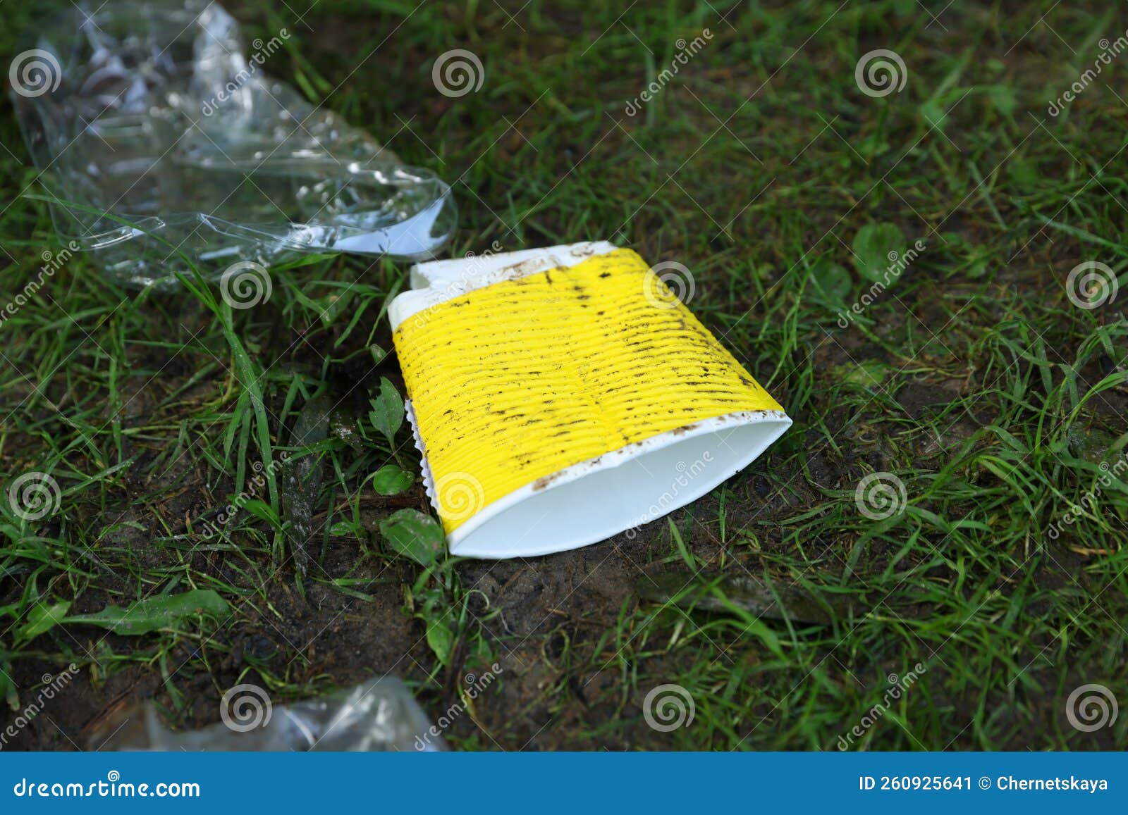 Garbage Scattered On Grass. Environment Pollution Problem Stock Photo ...