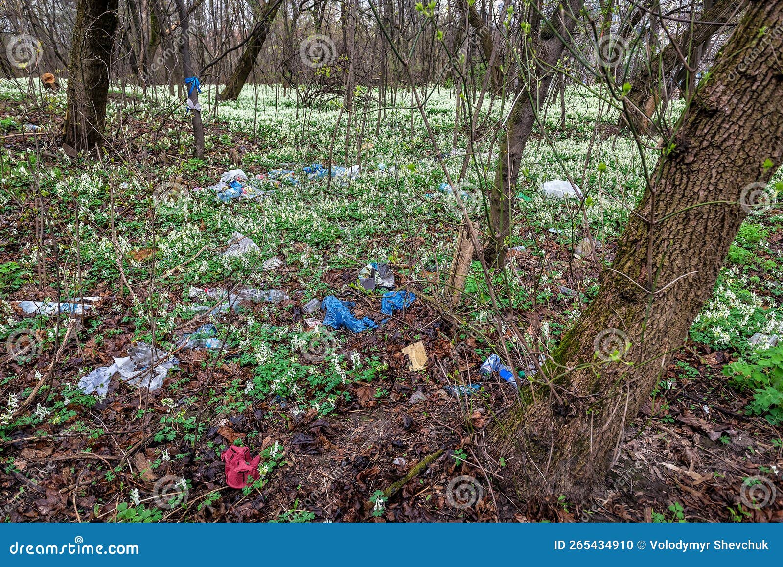 Different Garbage in the Spring Forest Stock Photo - Image of earth ...