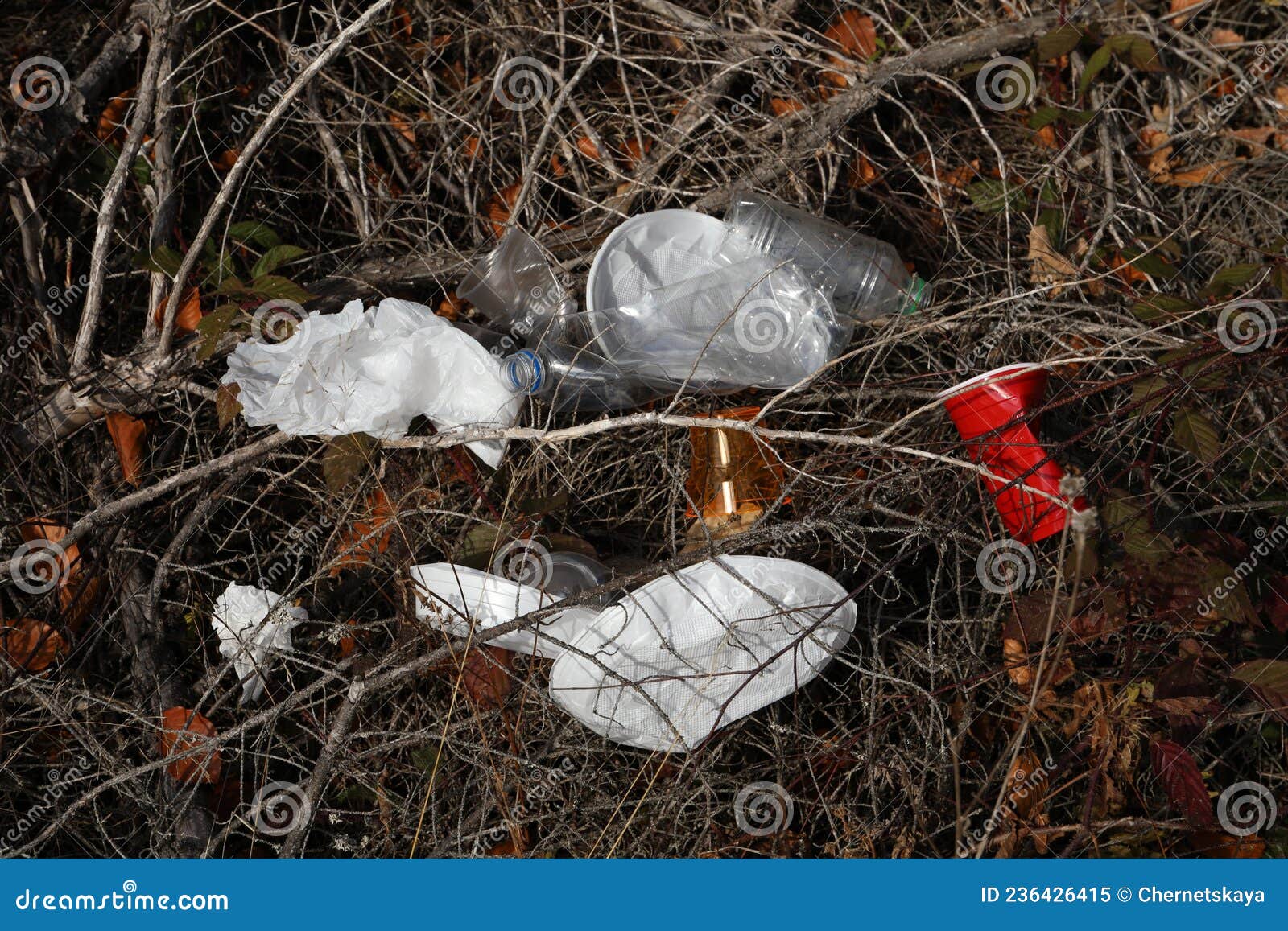 Different Plastic Garbage Stuck between Bush Branches Stock Image ...