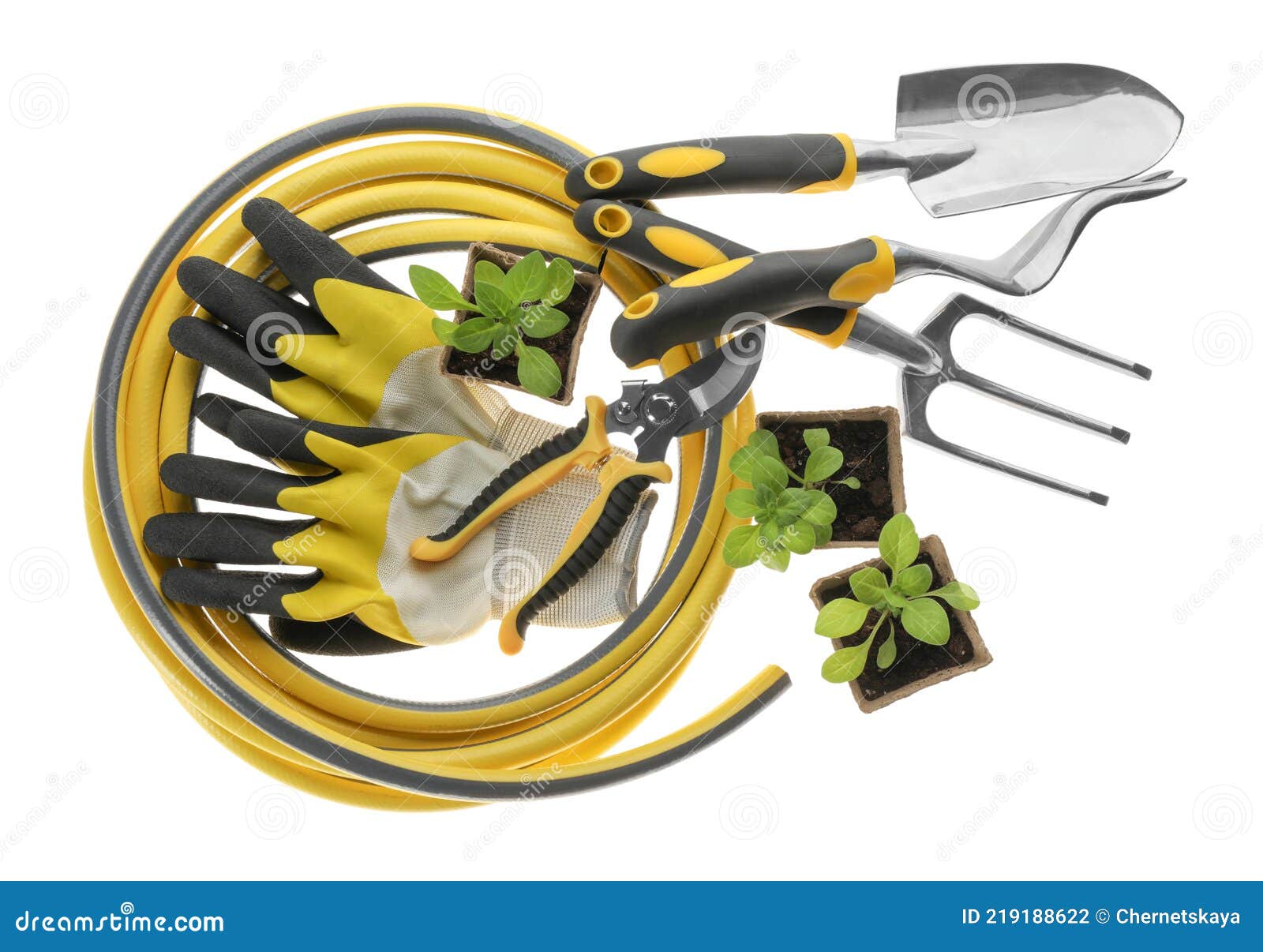 Different Gardening Tools on White Background, Top View Stock Photo ...