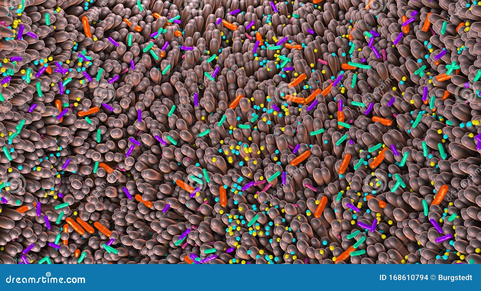 Germs in the Human Intestines Called Microbiome Stock Illustration ...