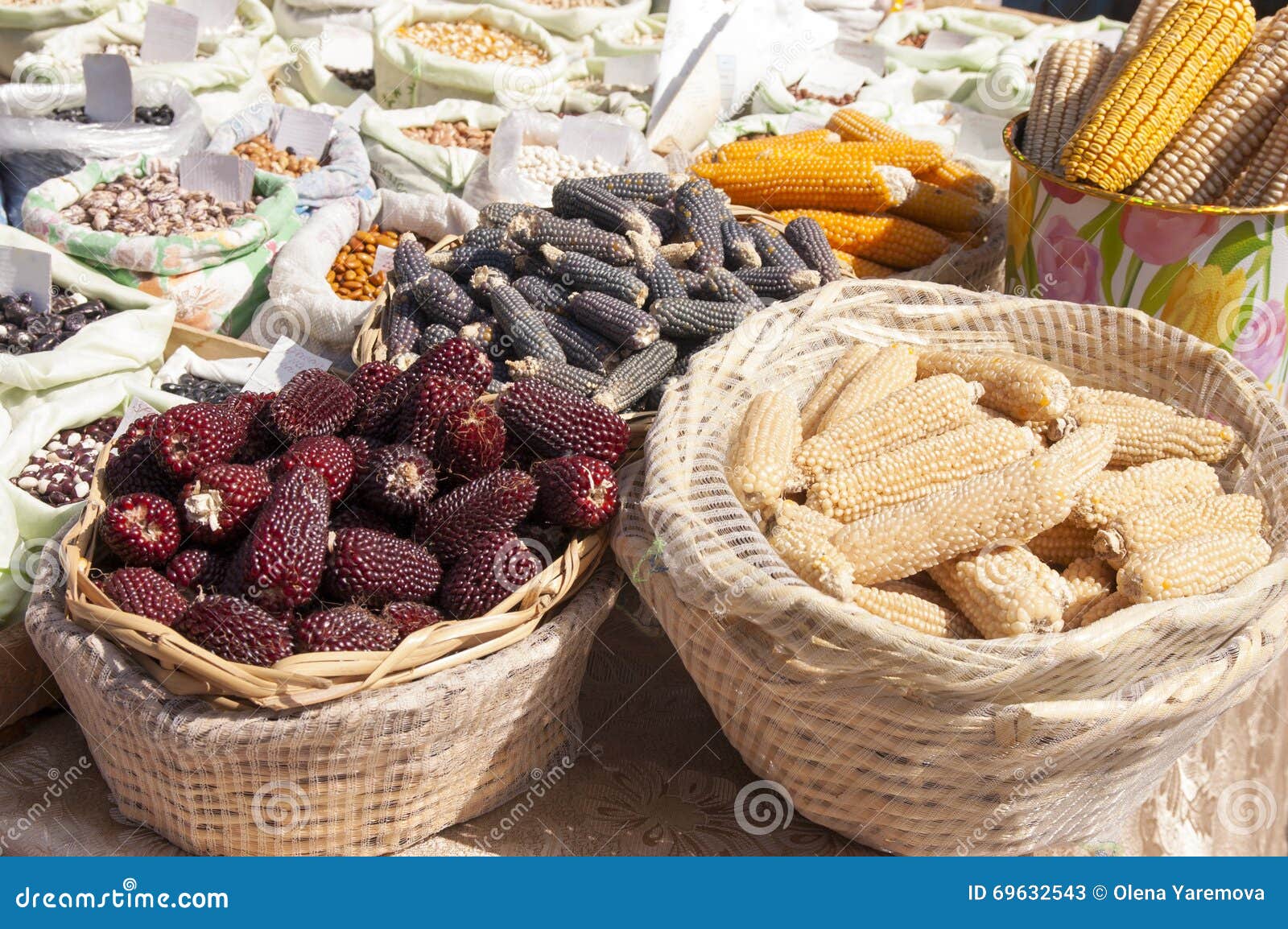 Different grades of corn stock image. Image of popcorn - 69632543