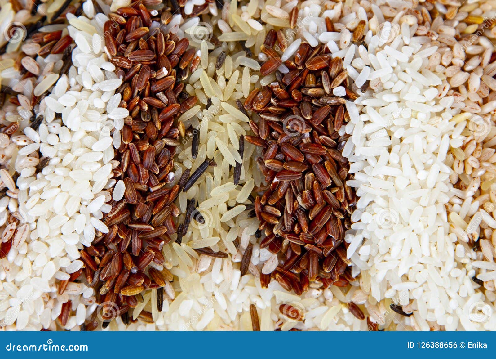 Different grades of rice stock photo. Image of meal - 126388656