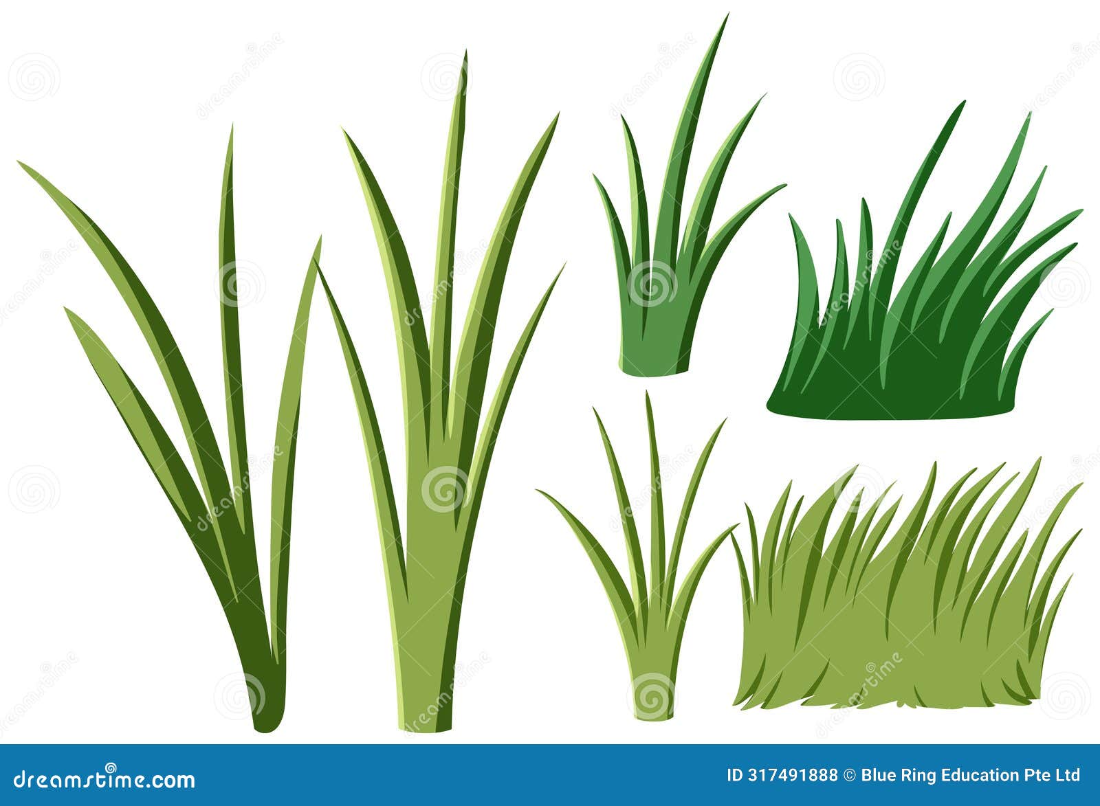 Different grass designs stock vector. Illustration of grass - 317491888