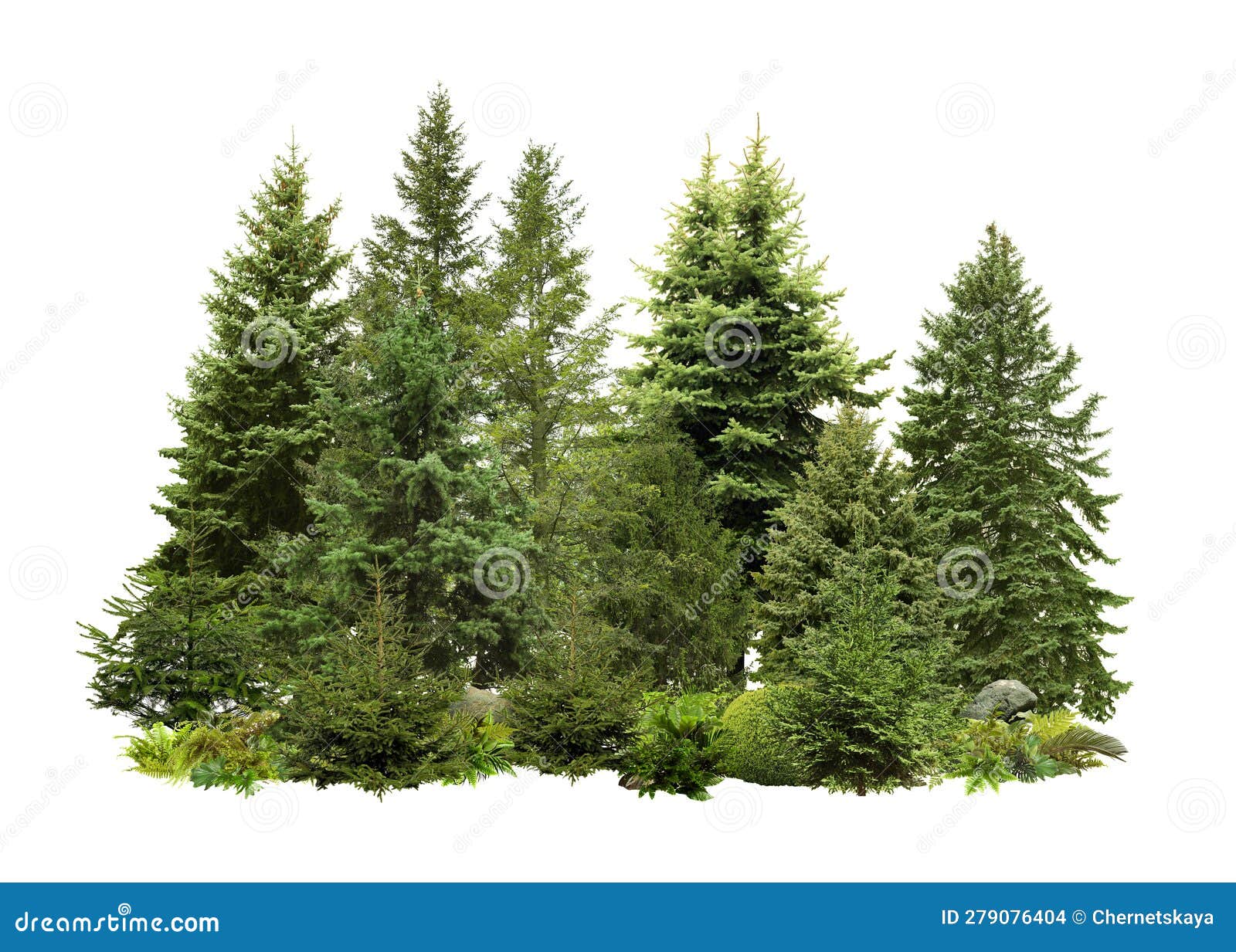 Different Green Trees and Plants on White Background Stock Photo ...