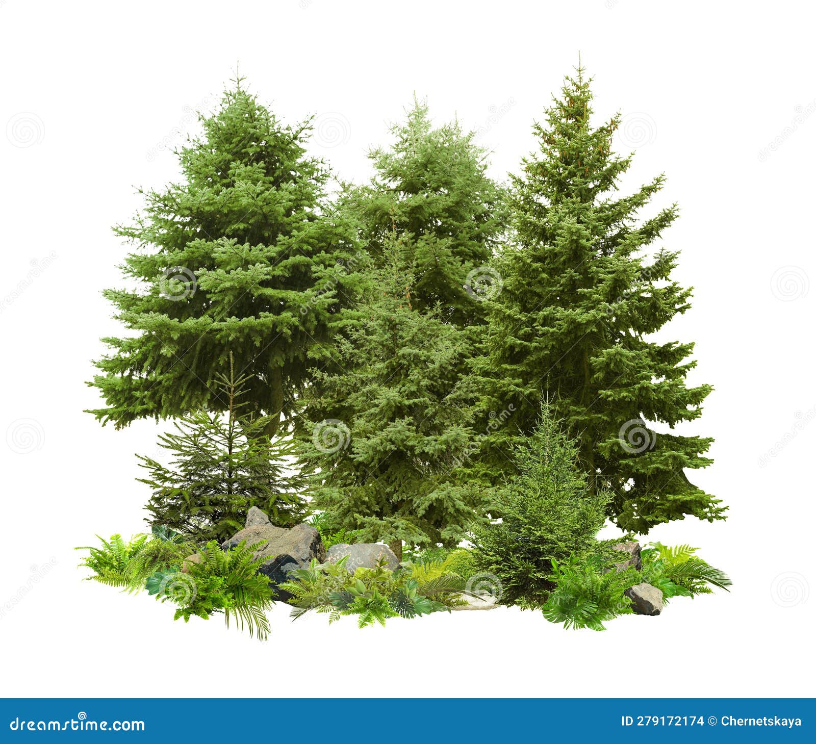 Different Green Trees and Plants on White Background Stock Photo ...