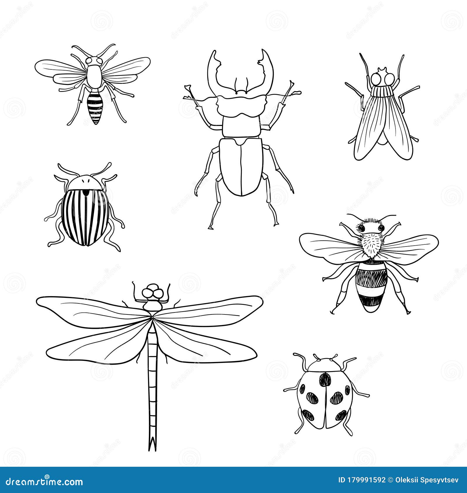 Different Hand Drawn Doodle Insects Stock Vector - Illustration of ...