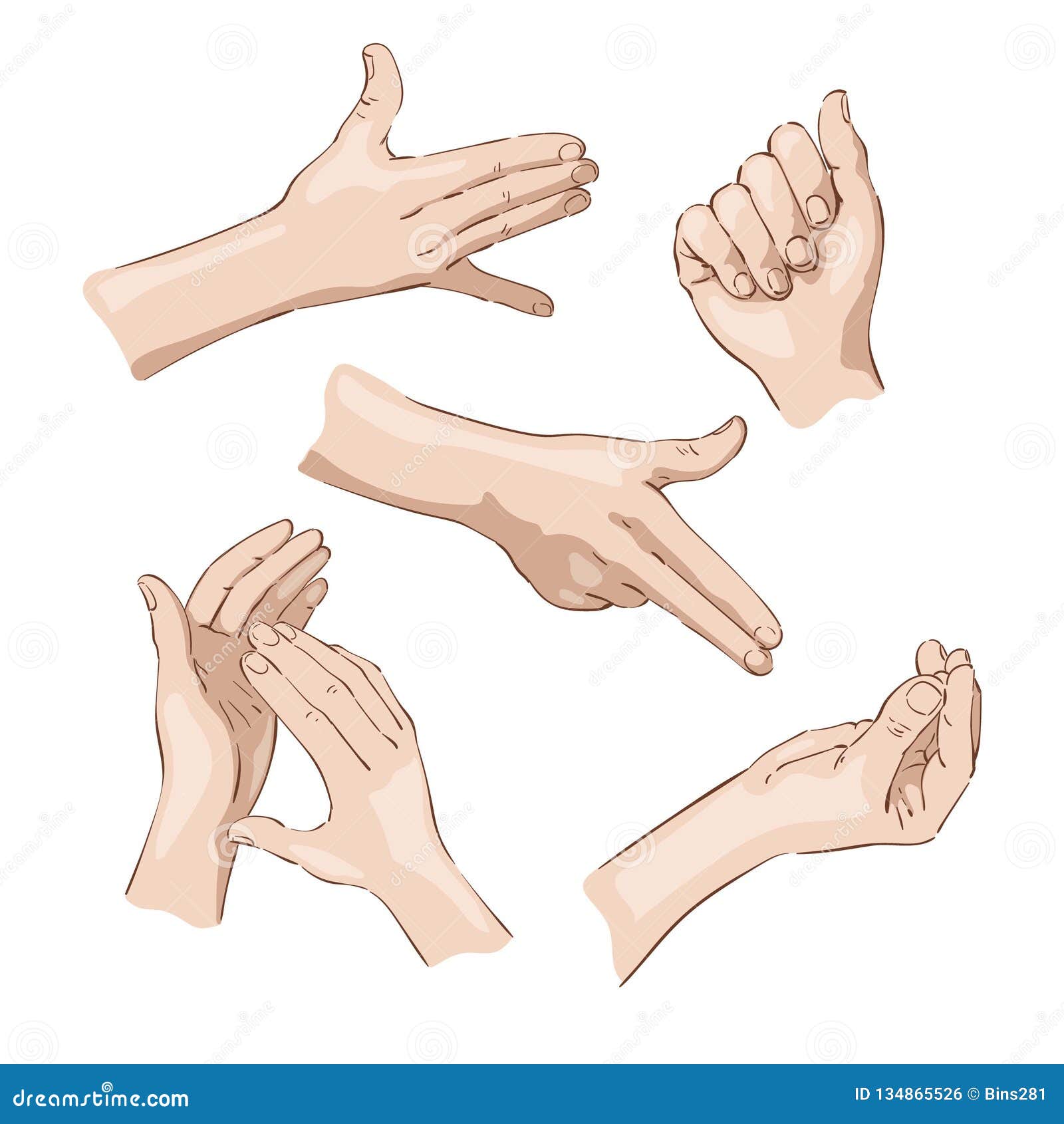 Different Hand Positions Vector Illustration | CartoonDealer.com #134865526