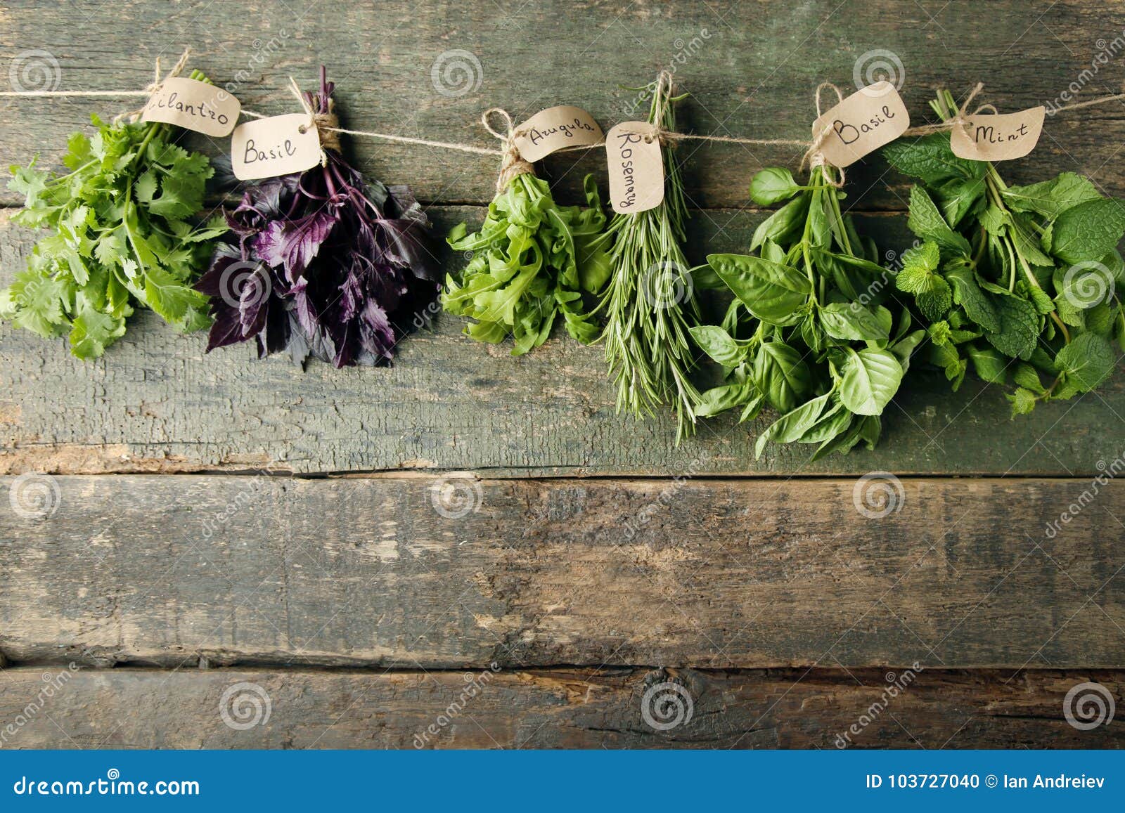 Different herbs stock photo. Image of heap, hanging - 103727040