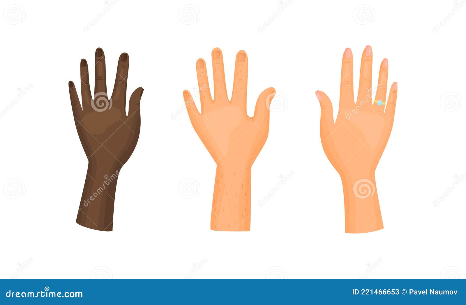 Different Human Right and Left Hands with Palm Raised Up Vector Set ...